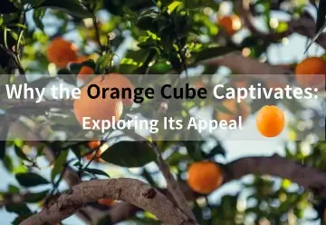 Why the Orange Cube Captivates: Exploring Its Appeal